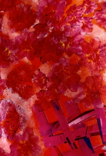 ROBERTO NEGRI | ARTISTA VISUAL